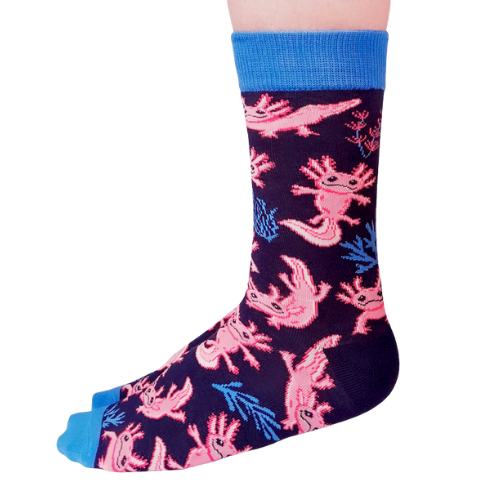 Axolotl Socks - Women's Socks - Gift Idea – Sock Bar
